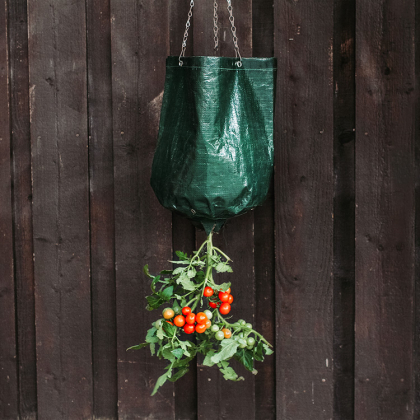 Hanging grow bag - Tomato grow bag | SmartaSaker