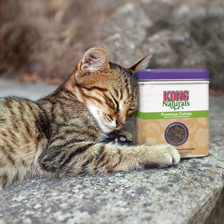 Catnip Leaves 28 g - Buy your cats favourite | SmartaSaker