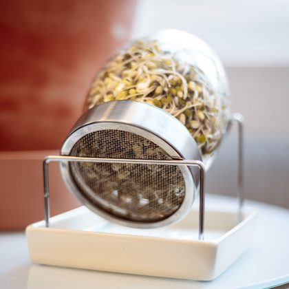 Glass sprouting jar - Grow sprouts, seeds and beans | SmartaSaker