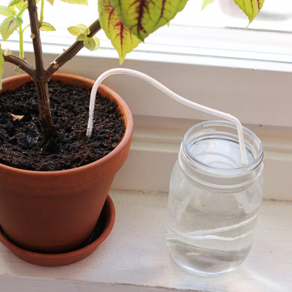 Watering Wick, pack of five - Waters your plants when you are on ...