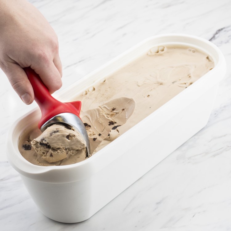 Ice cream tray - Large ice cream container for homemade ice cream ...