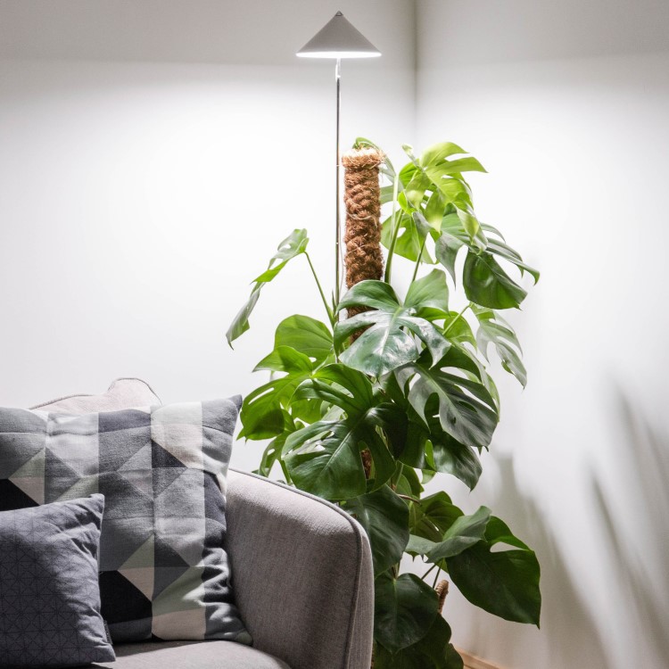 Plant lamp on a stick - powerful 25W plant lighting | SmartaSaker