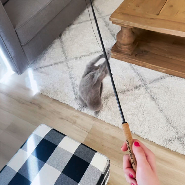 Durable cat toy - bendable cat wand for active play | SmartaSaker