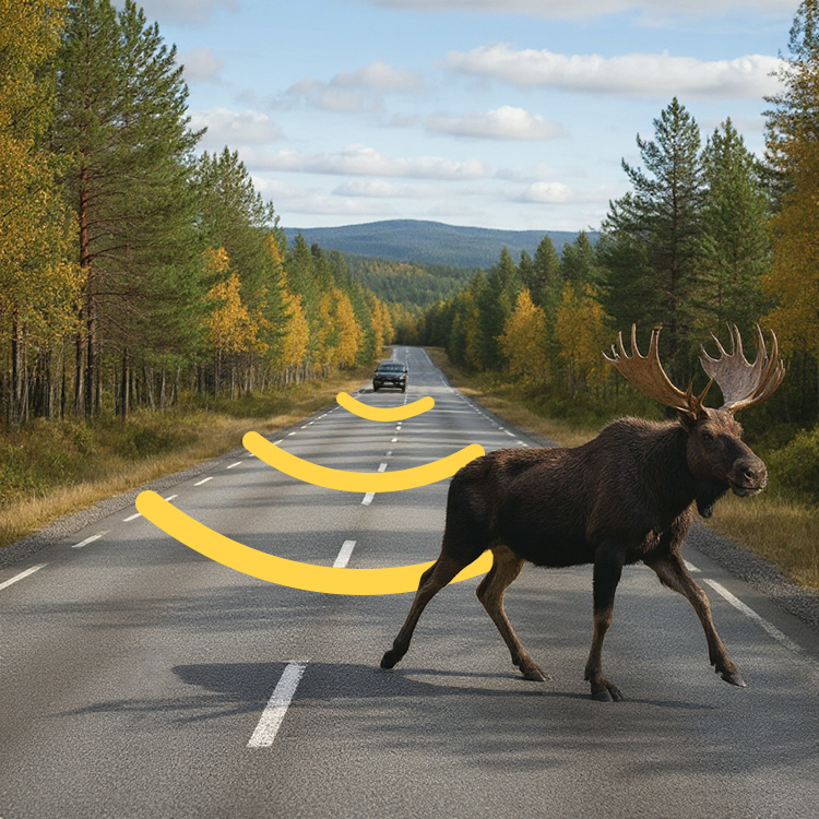 Wildlife deterrent for your car – Smart protection against wildlife ...