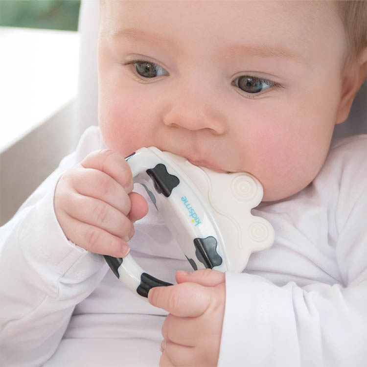 Teething ring with freezer container | SmartaSaker