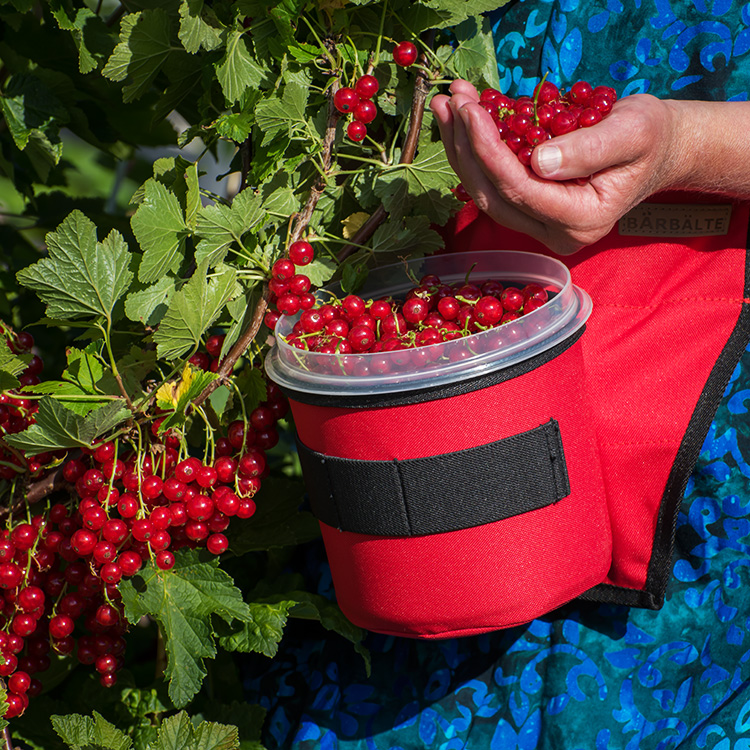 Berry belt - Buy a belt with a berry bucket and lid online | SmartaSaker