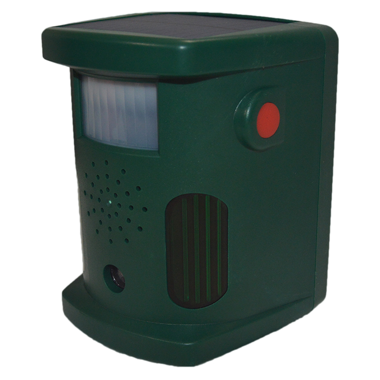 Solar powered anti-bird device with movement sensor