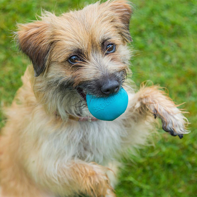 Dog Activity Ball - Durable dog ball | SmartaSaker