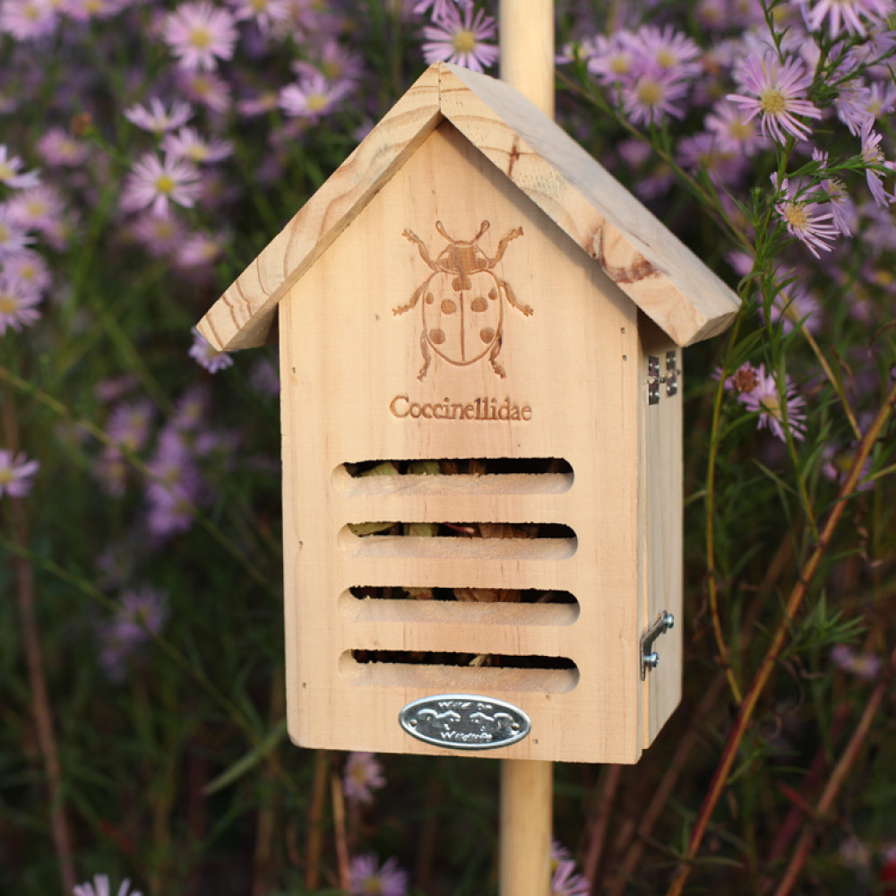 Ladybug House - Shelter for ladybirds | SmartaSaker