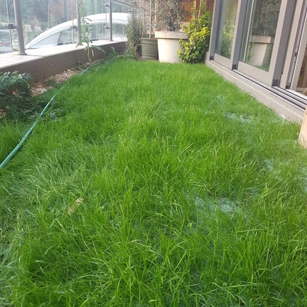 Turfquick rolled up lawn - Easily installed rolled up grass | SmartaSaker