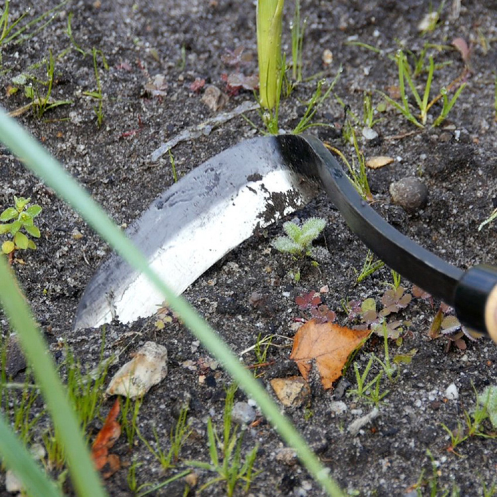 Carbon steel razor hoe - Weed cutter from Burgon & Ball | SmartaSaker
